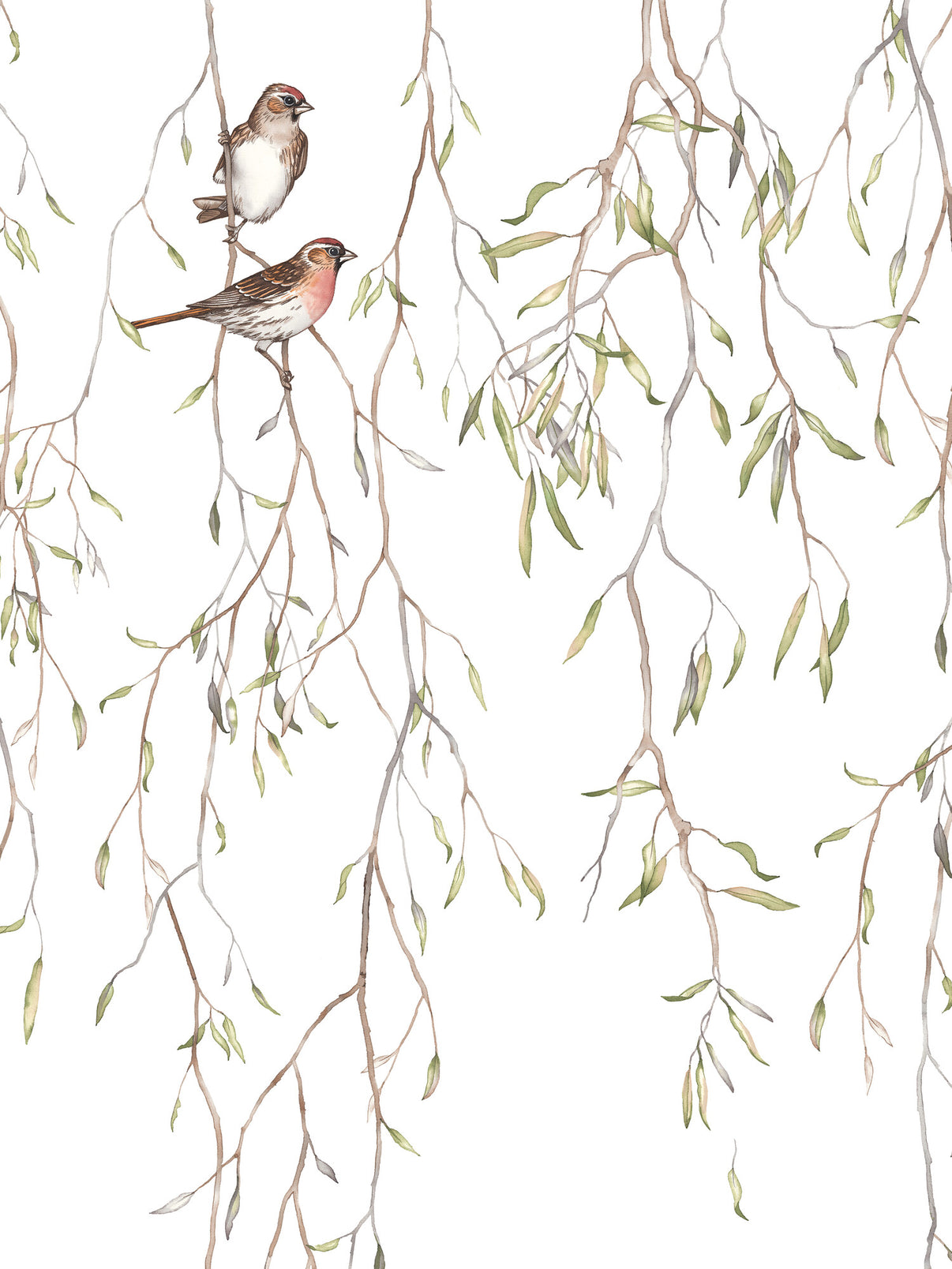 Spring Birds - 9447W – Scandinavian Wallpaper